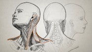 Drawing The Human Head Pluralsight Drawing The Human Head Pluralsight
